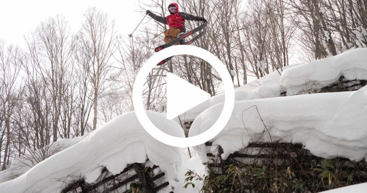 New Video: Powder Season is in Full Swing | Niseko Central