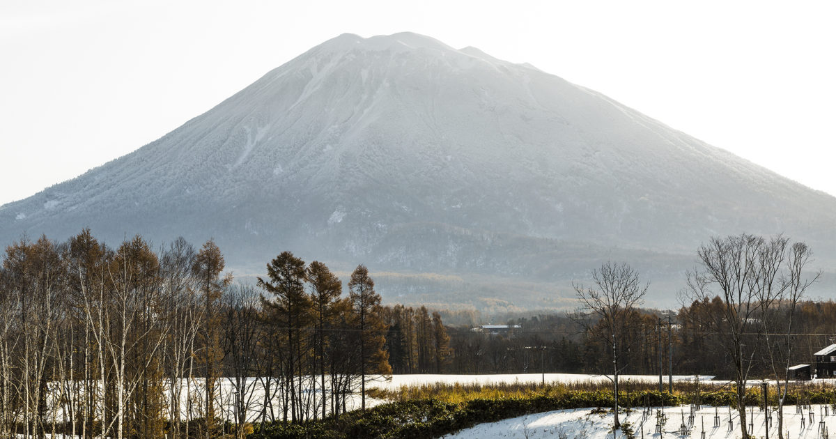7 Day Snow Forecast for Niseko | Niseko Central