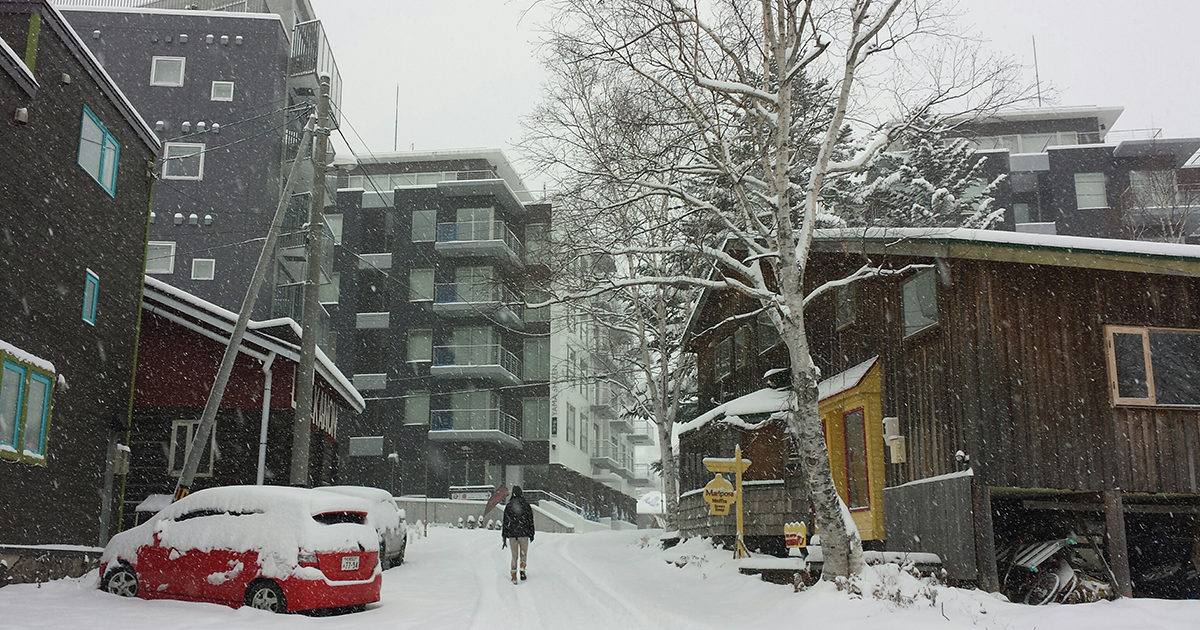 20 cm of Snowfall in the Last 24 Hours! | Niseko Central