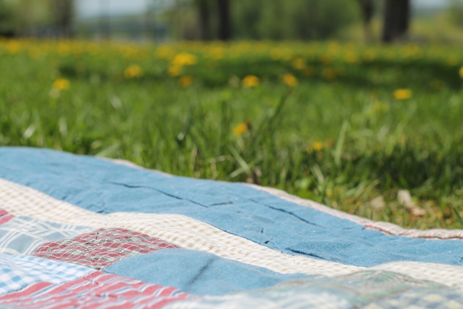 A Guide to Hanami Etiquette | Niseko Central